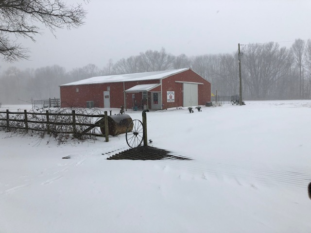 Index of [www.redbarnkennels.com]